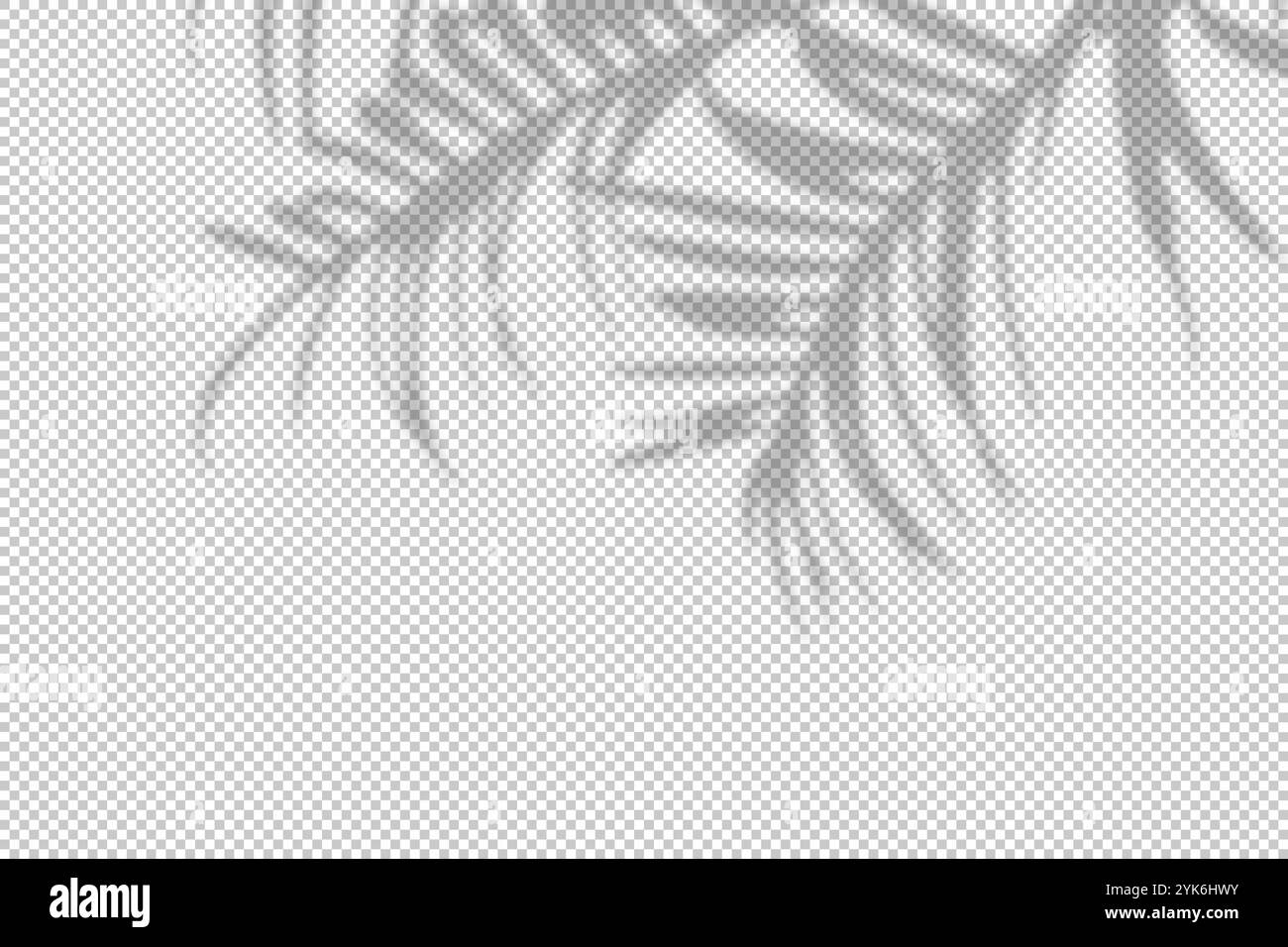 Shadow of leaf from window. Shadows palm leave isolated on transparent ...