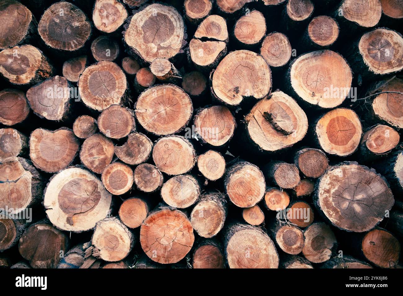 Stacked Timber Logs - Natural Wood Texture Background Stock Photo - Alamy