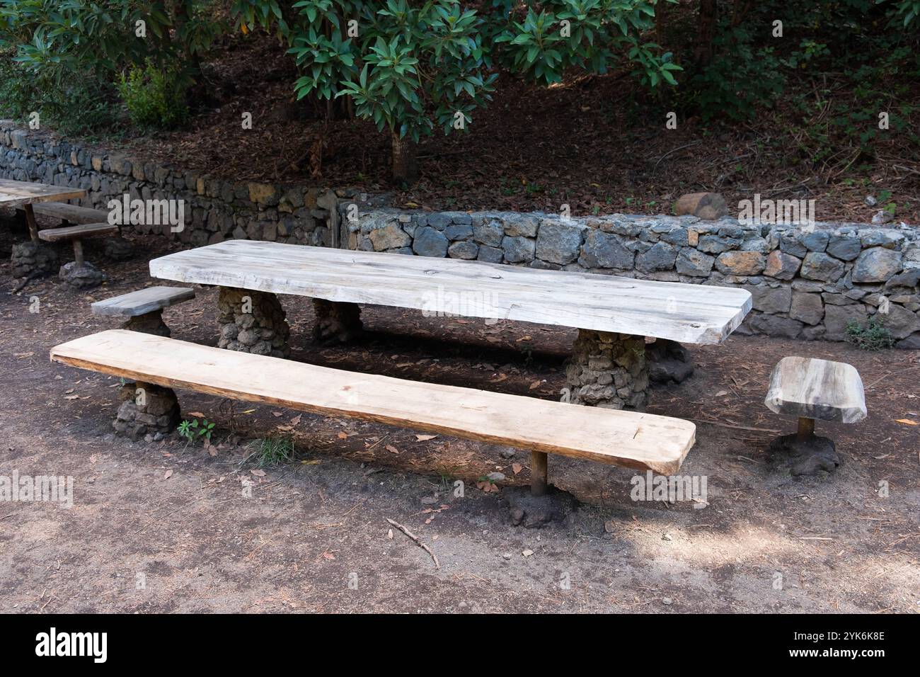 Wooden bench forest hi-res stock photography and images - Alamy