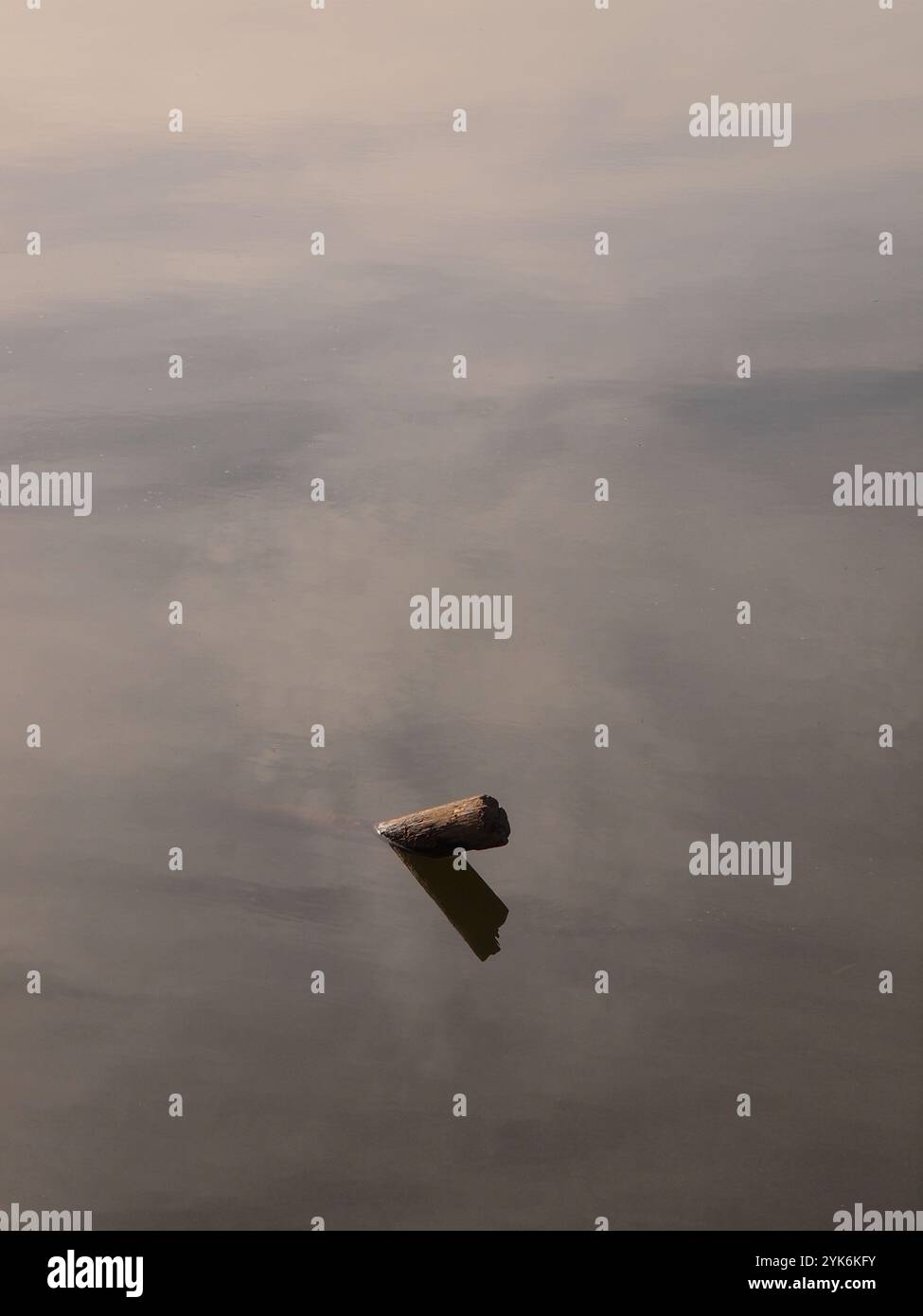 Lone log sticking out of a pool of water hi-res stock photography and ...