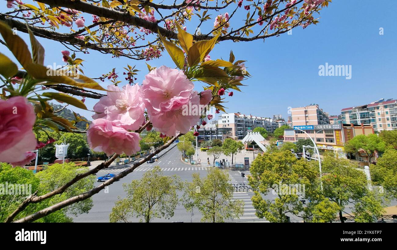 Couple in vibrant garden smartphone stock photos and images - Alamy