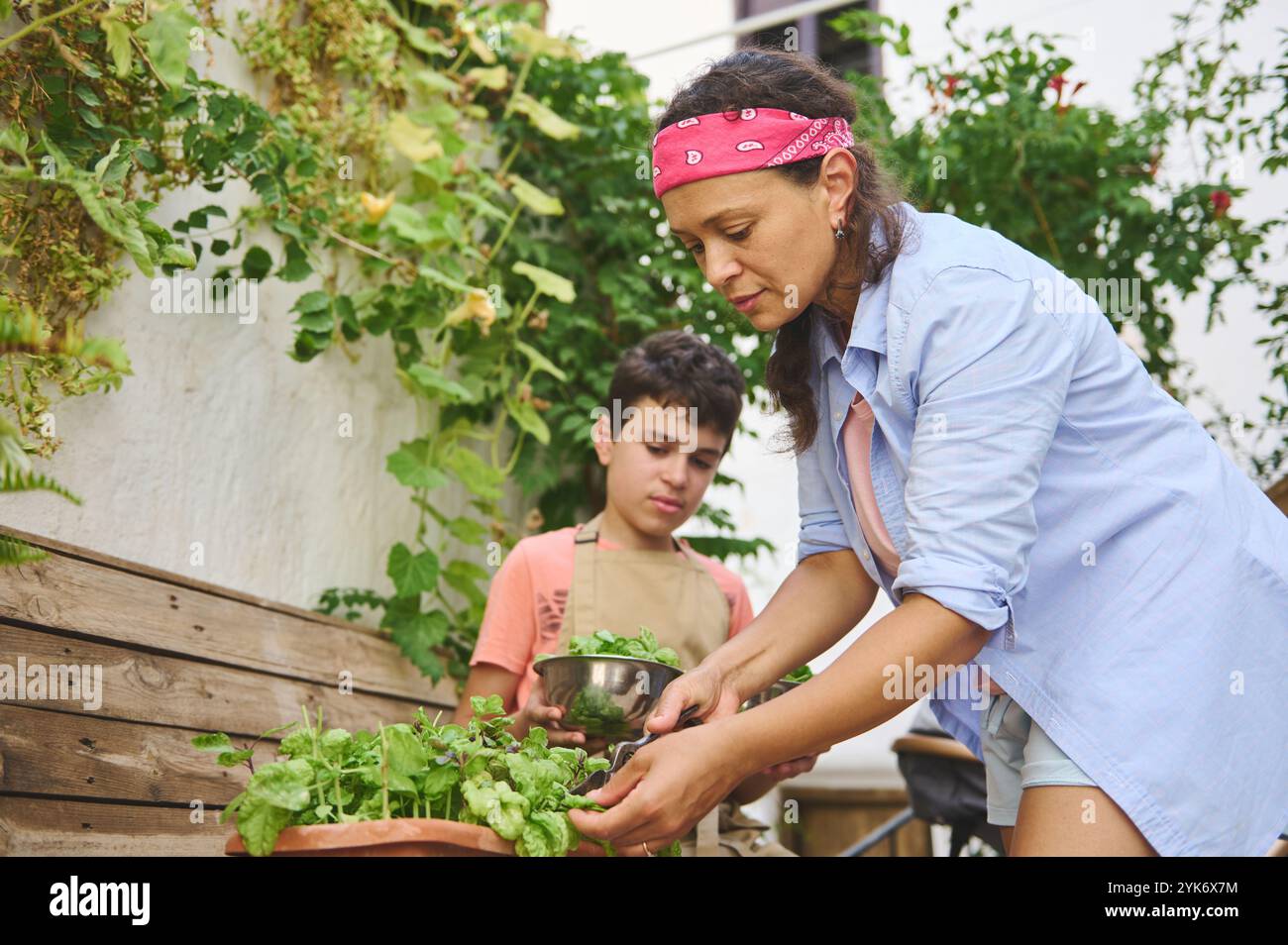 Domestic scene captures mother hi-res stock photography and images - Alamy