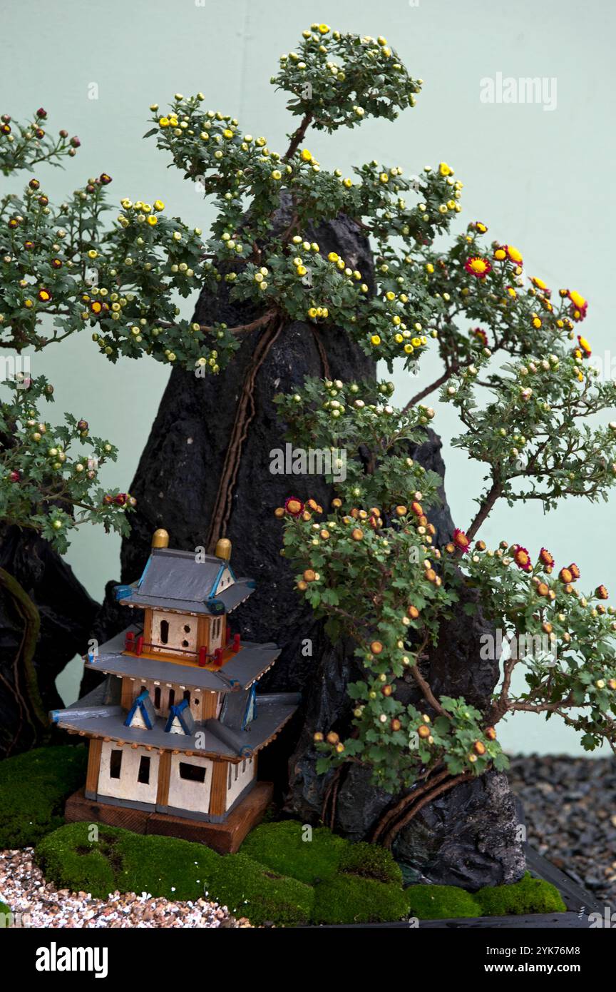 Chrysanthemum bonsai display with miniature mountain and crawling vines ...