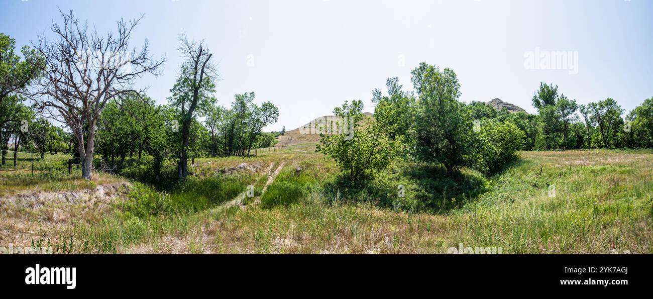 Cammack Buffalo Ranch owners John and Melanie Cammack operate a 13,000 ...