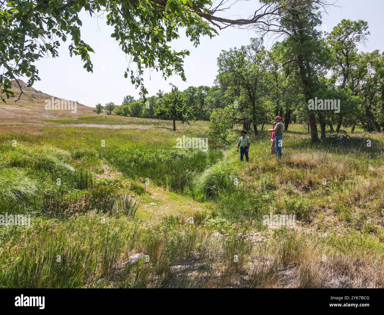Cammack Buffalo Ranch owners John and Melanie Cammack operate a 13,000 ...