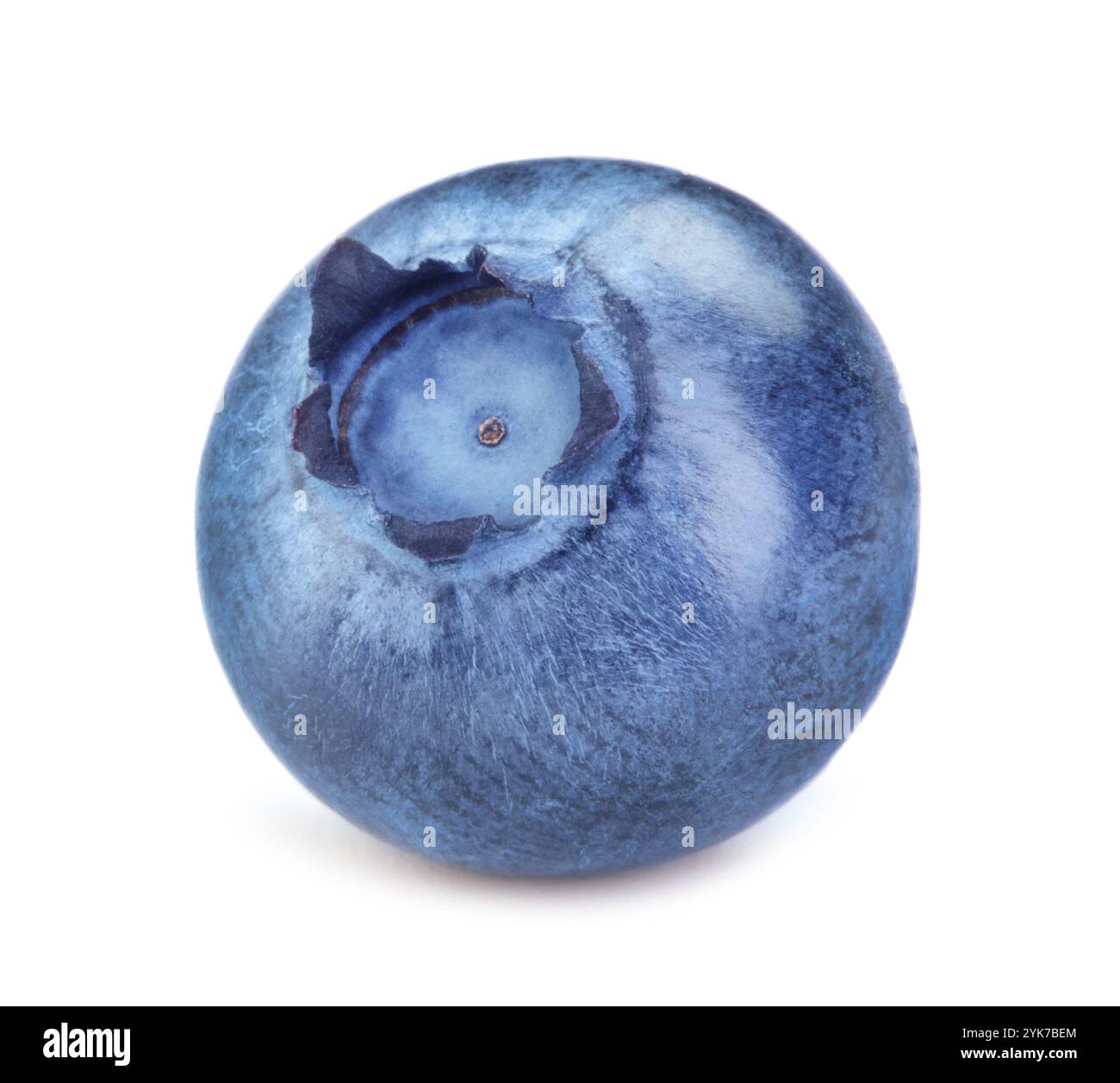 Single blueberry isolated on white background Stock Photo - Alamy