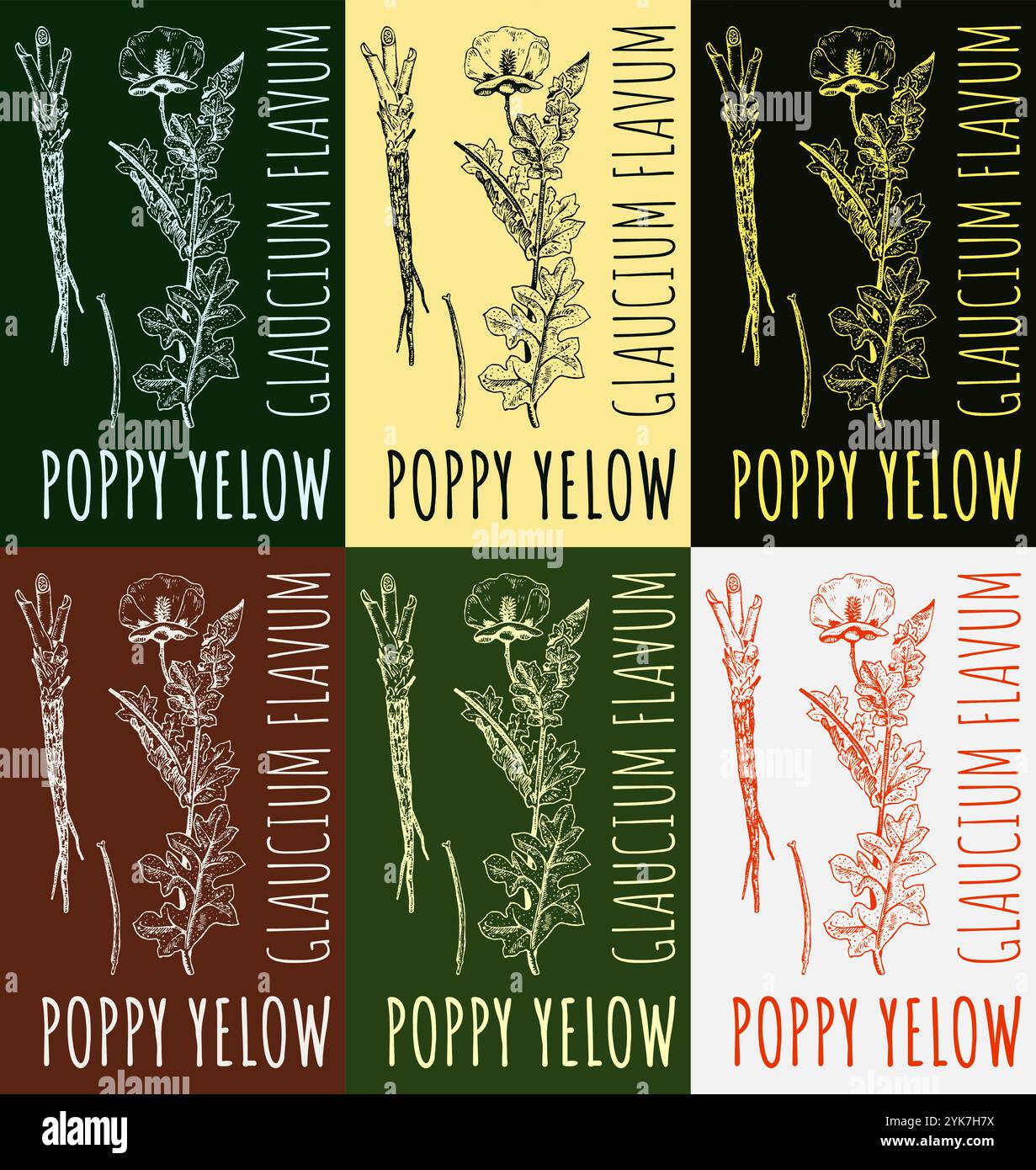 Poppy drawing hi-res stock photography and images - Alamy