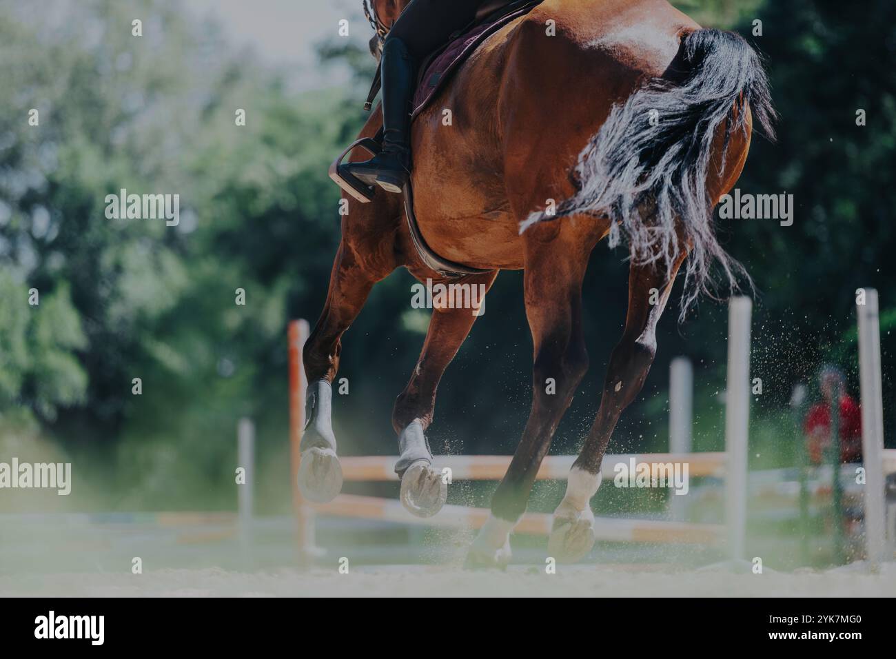 Graceful horse and rider galloping hi-res stock photography and images ...