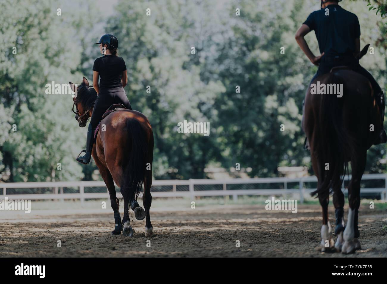 Two equestrians riding in horses hi-res stock photography and images ...
