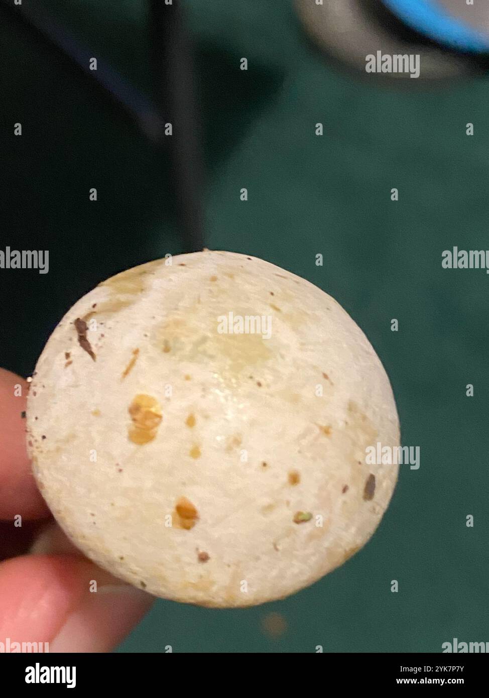 Ghost bolete hi-res stock photography and images - Alamy