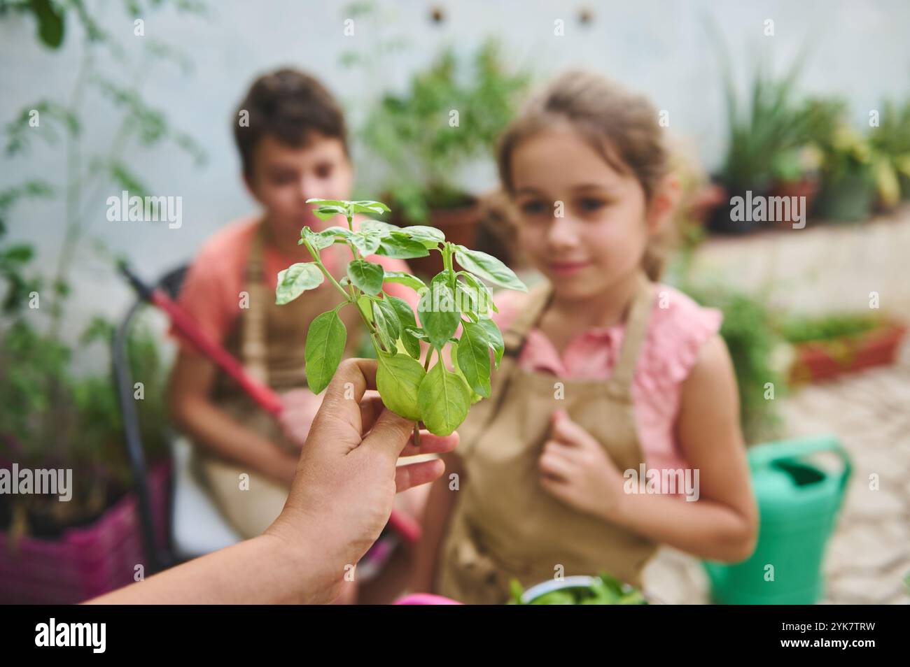 Kids learning gardening in a backyard setting, focusing on a plant ...