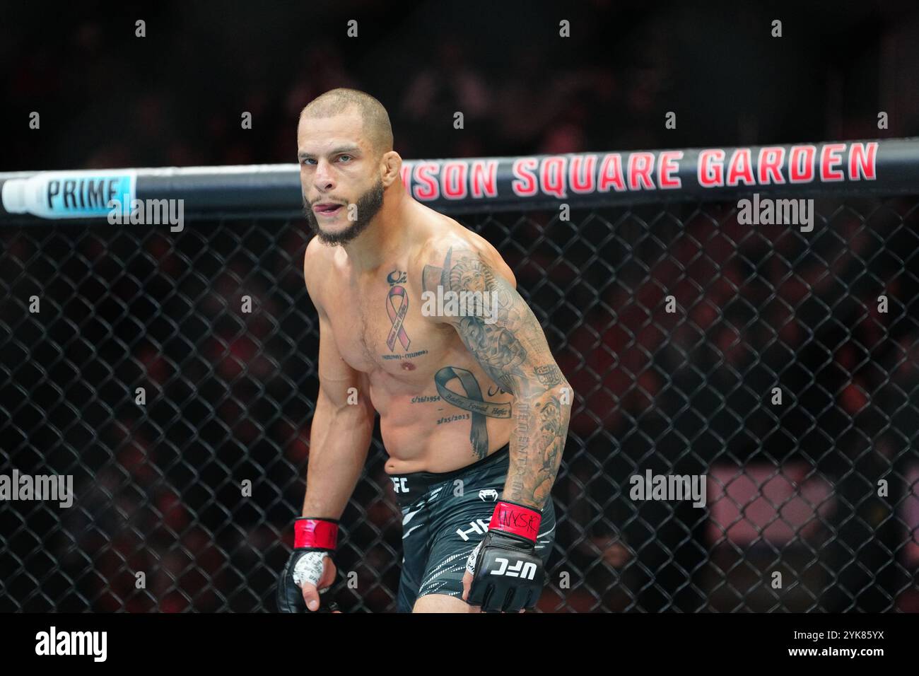 NEW YORK CITY, NY -NOVEMBER 16:Bassil Hafez and Oban Elliott meet in ...