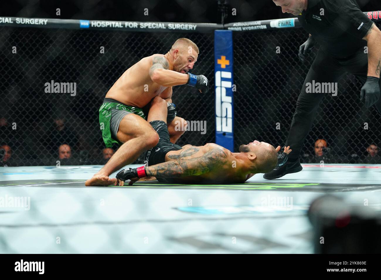 NEW YORK CITY, NY -NOVEMBER 16:Bassil Hafez and Oban Elliott meet in ...