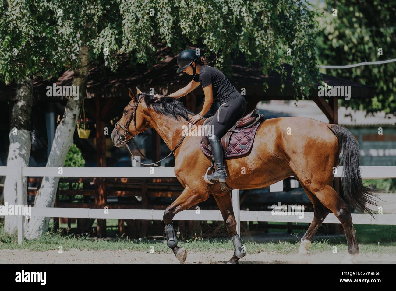 Woman riding a horse in a sunny outdoor equestrian arena Stock Photo ...