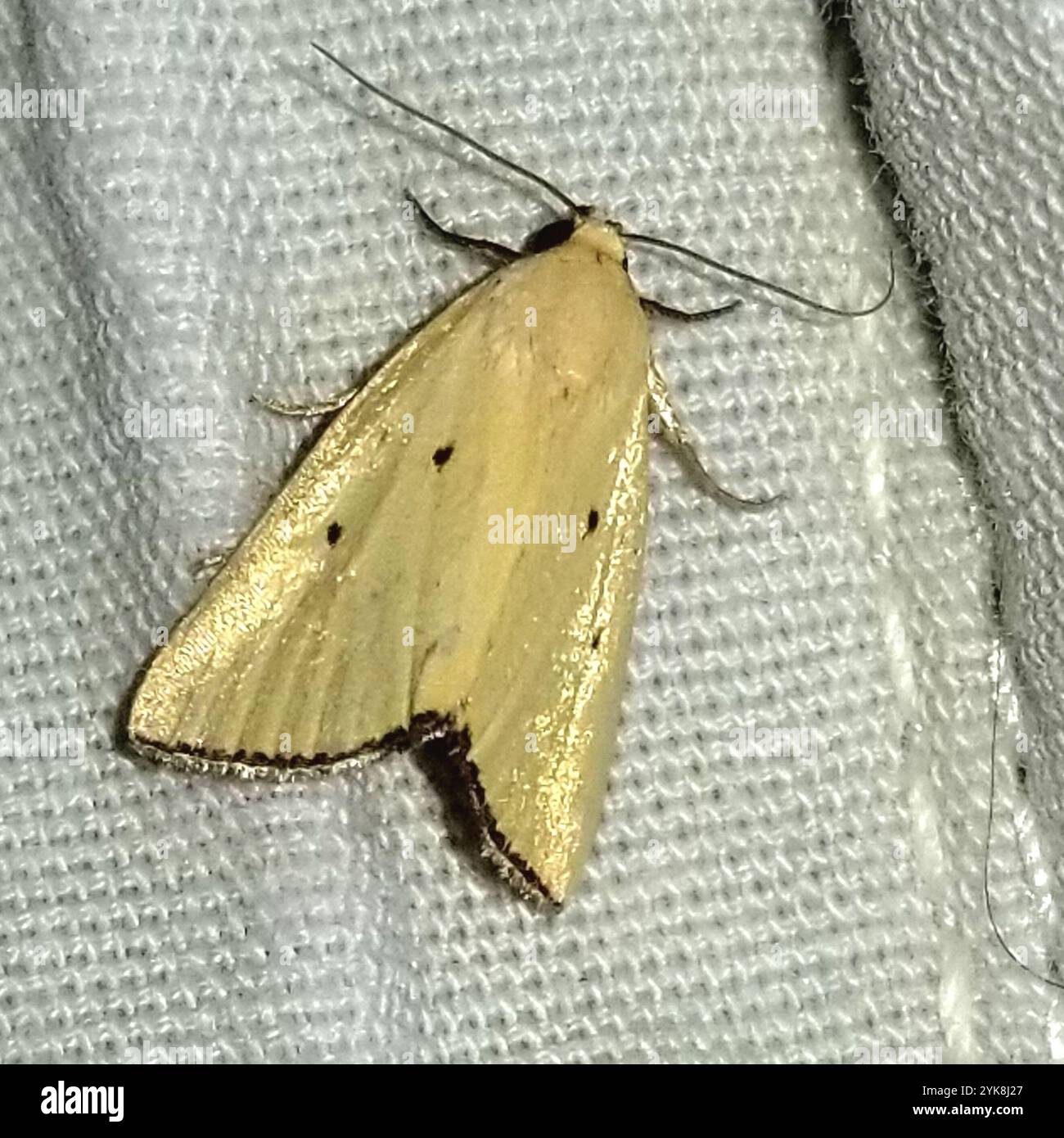 Marimatha hi-res stock photography and images - Alamy