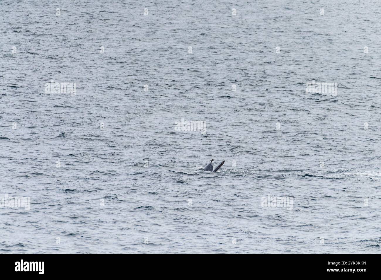 Impression of the Scenery near Anvers Island, on the Antarctic ...