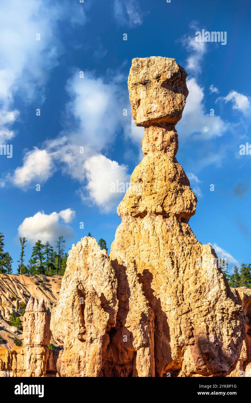 Geological hammer in rock hi-res stock photography and images - Alamy