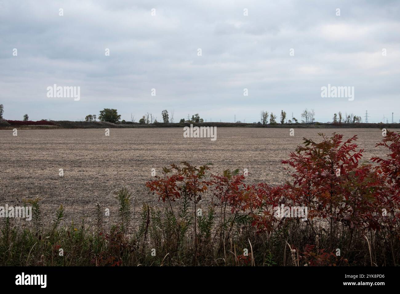 Rural ontario farmland hi-res stock photography and images - Alamy