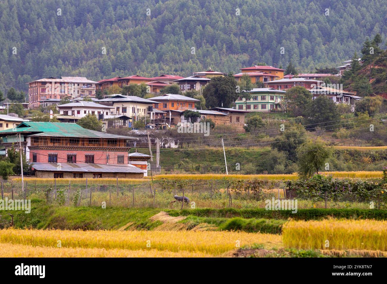 Typical village on the outskirts of Paro, Bhutan. Flatter land is often ...
