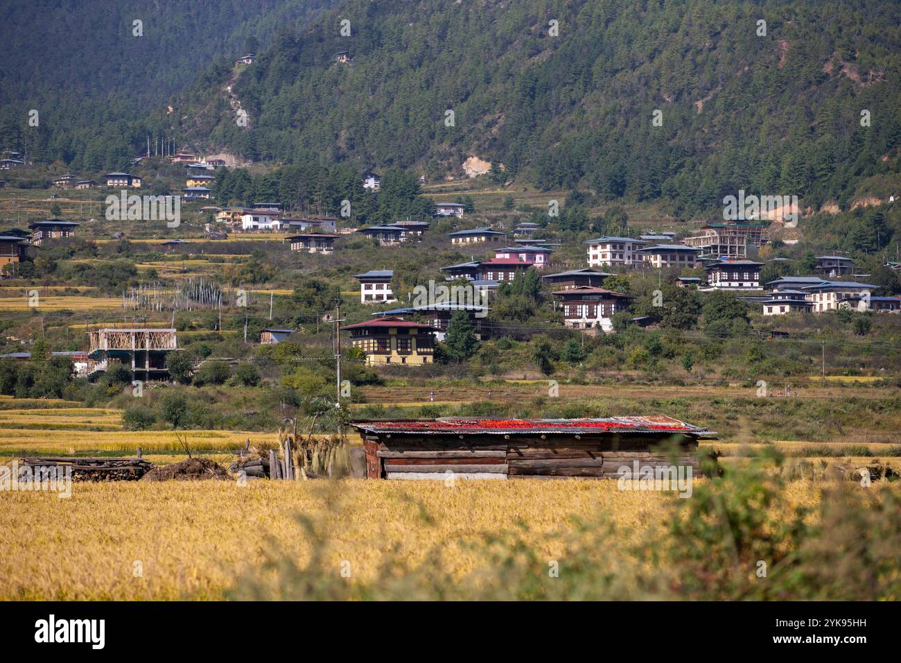 Typical village on the outskirts of Paro, Bhutan. Flatter land is often ...