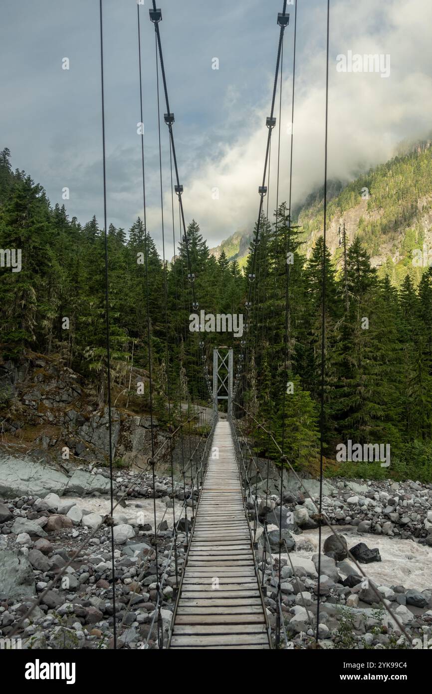 Wires on Suspesion Bridge Over Carbon RIver in Mount Rainier National ...