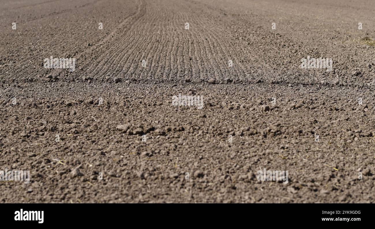 Soil texture background for gardening. Soil as background. Organic ...