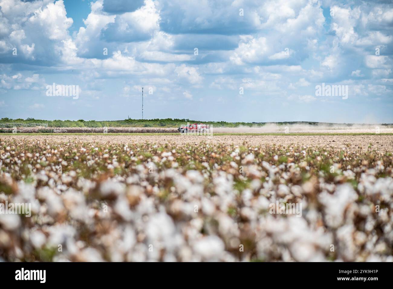 Pile of cotton pull hi-res stock photography and images - Alamy