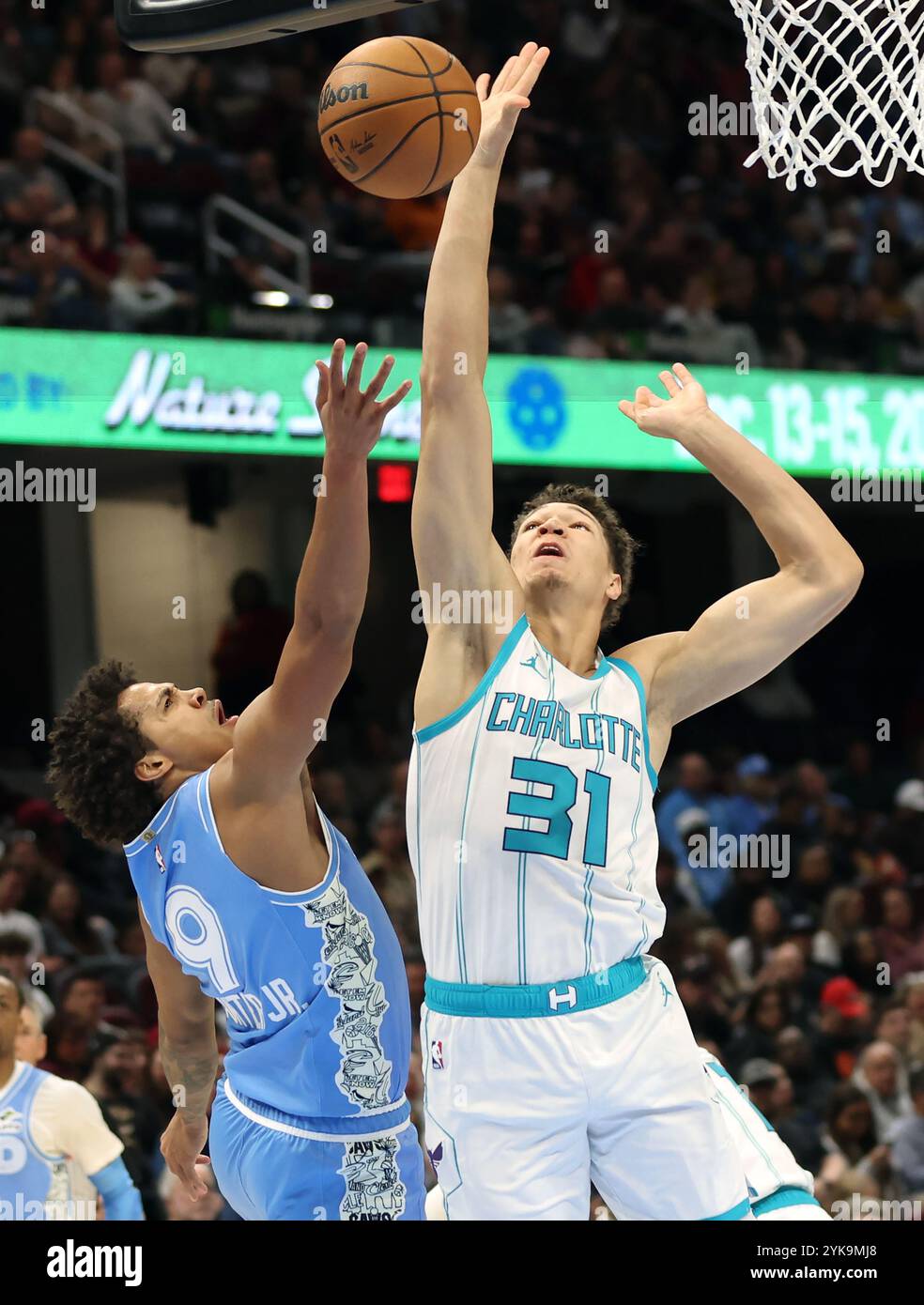 Salaun hornets hi-res stock photography and images - Alamy