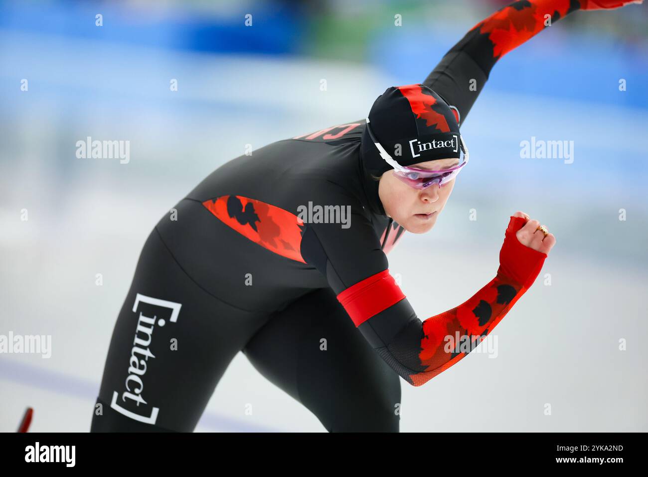 Aomori, Japan. 16th Nov, 2024. Maddison Pearman (CAN) Speed Skating ...