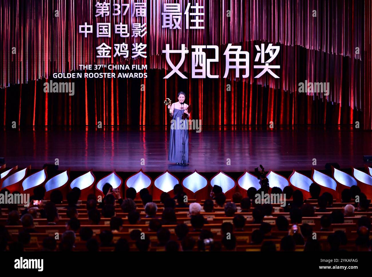 Chinese actress Liu Dan won the best supporting actress award for her ...