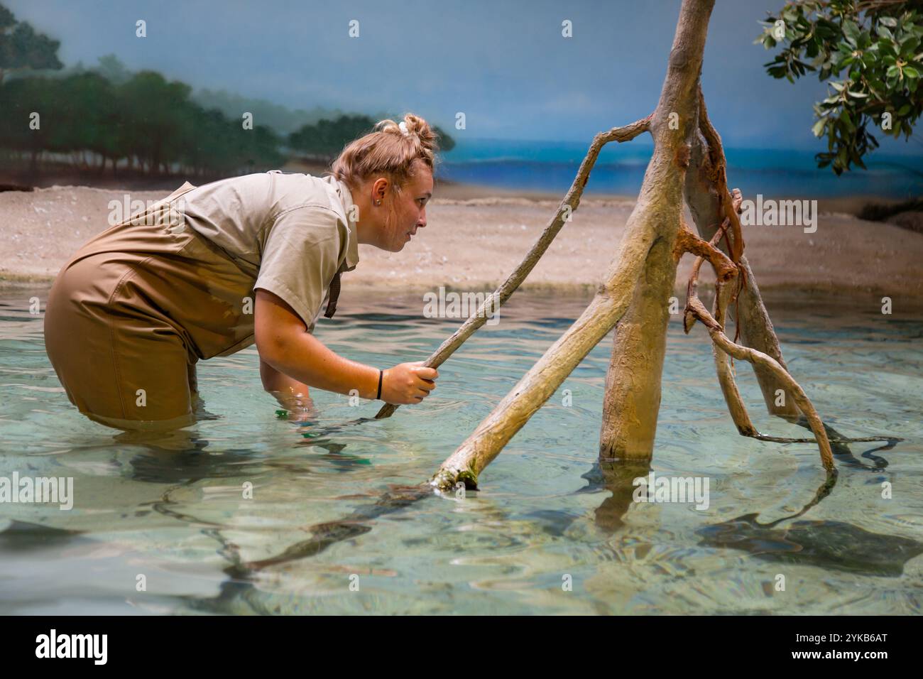 Zoo exhibit water hi-res stock photography and images - Alamy