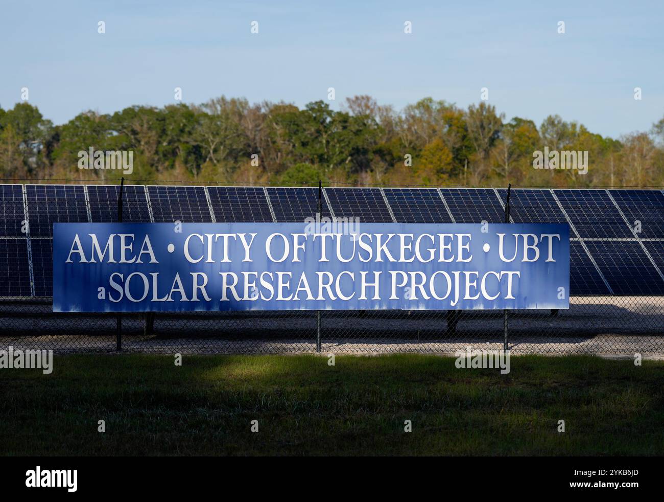 Project tuskegee hi-res stock photography and images - Alamy