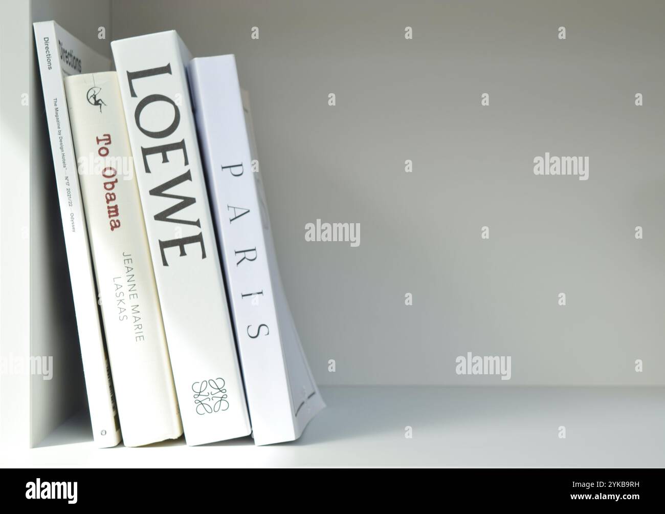 Modern books with black and white covers in home interior Stock Photo ...