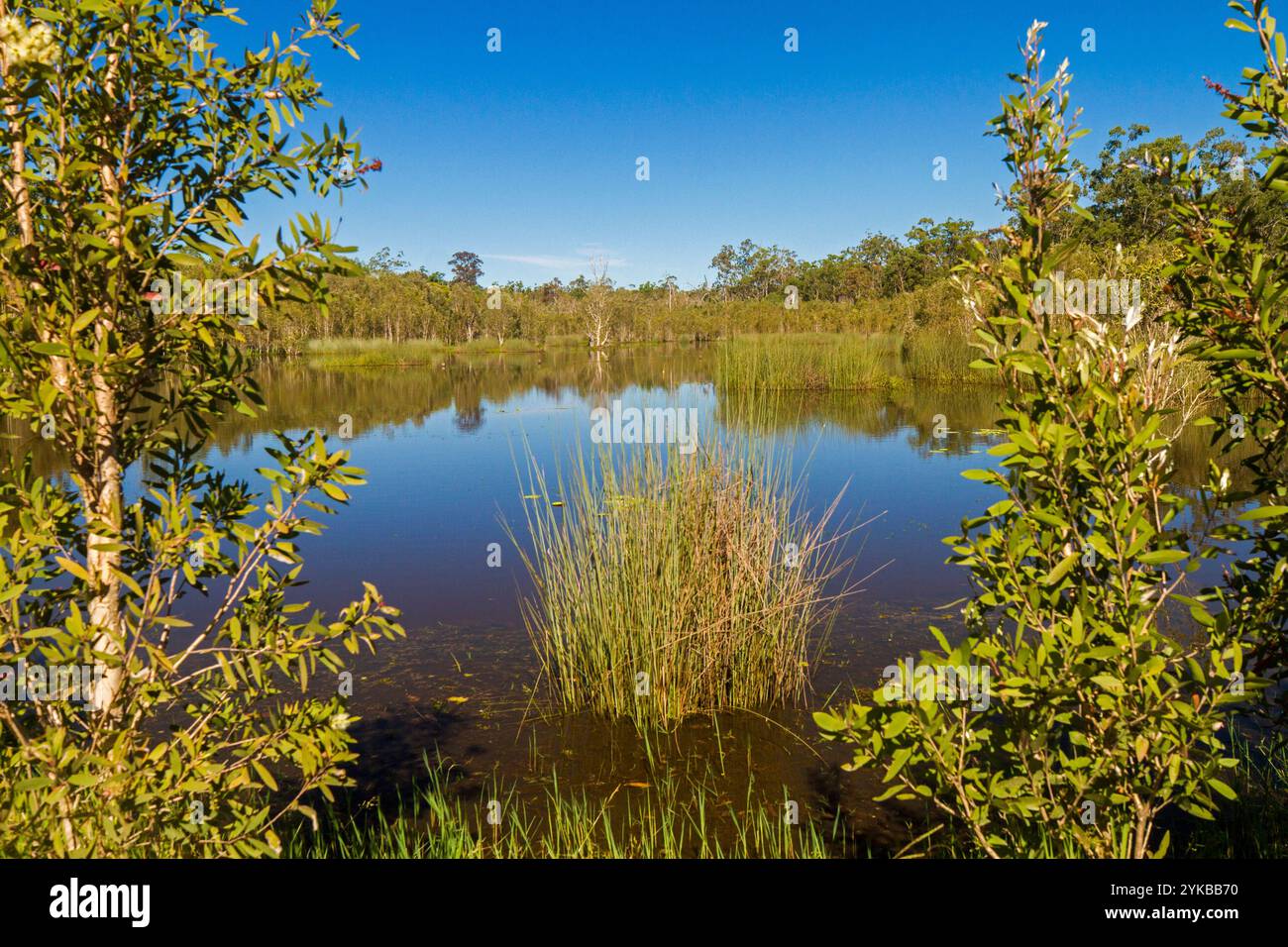 Lenthalls hi-res stock photography and images - Alamy
