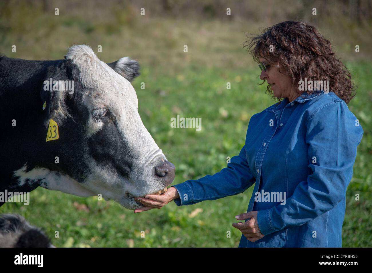 Woman raises photo family hi-res stock photography and images - Alamy