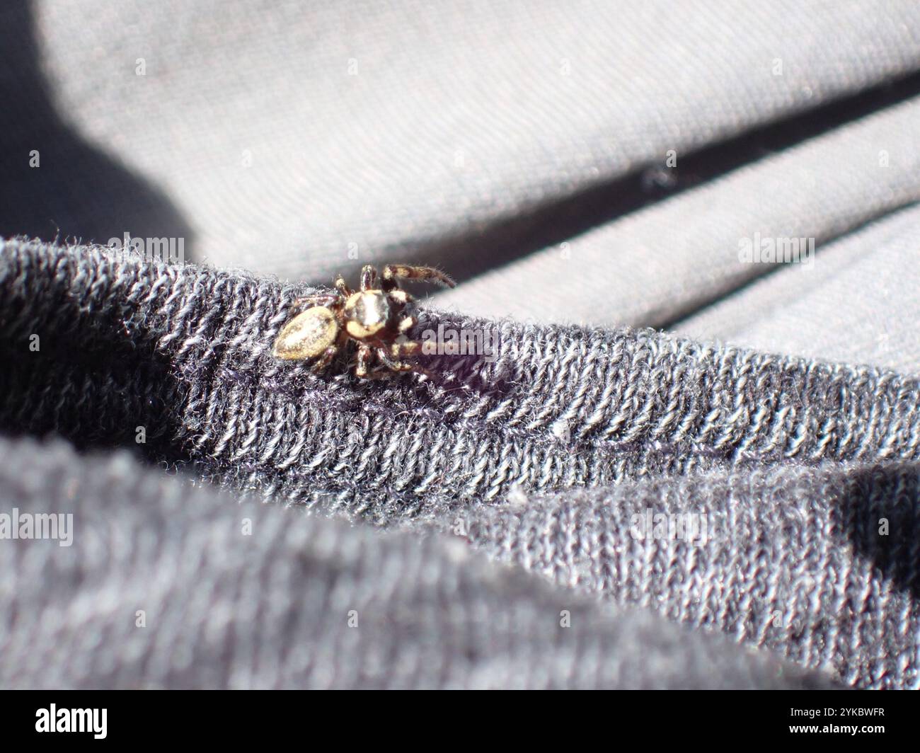 Balia hi-res stock photography and images - Alamy