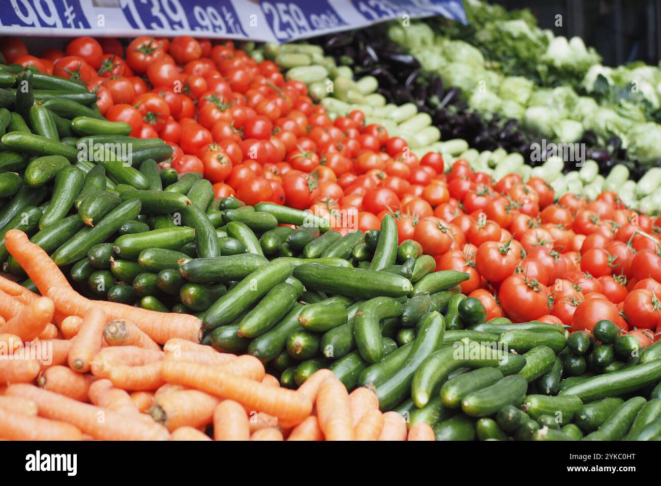 Featuring vibrant greens hi-res stock photography and images - Alamy