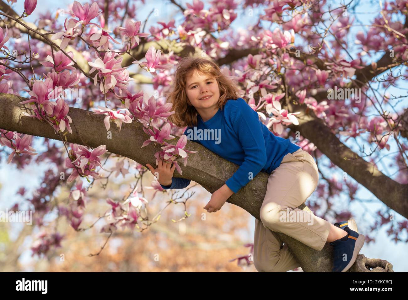 Kid climbing magnolia tree. Kid Happiness. Childrens day. Cute little ...