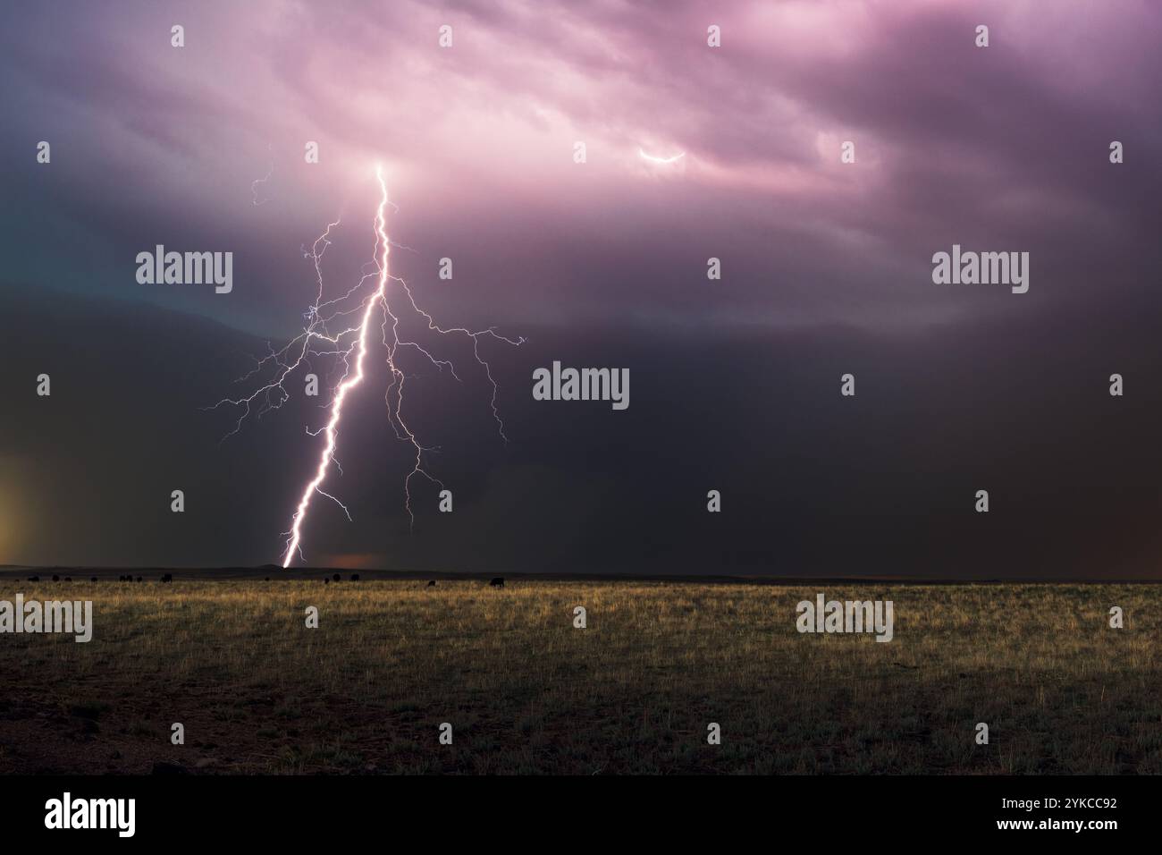 Cloud to ground lightning strike ahead of a severe thunderstorm near ...