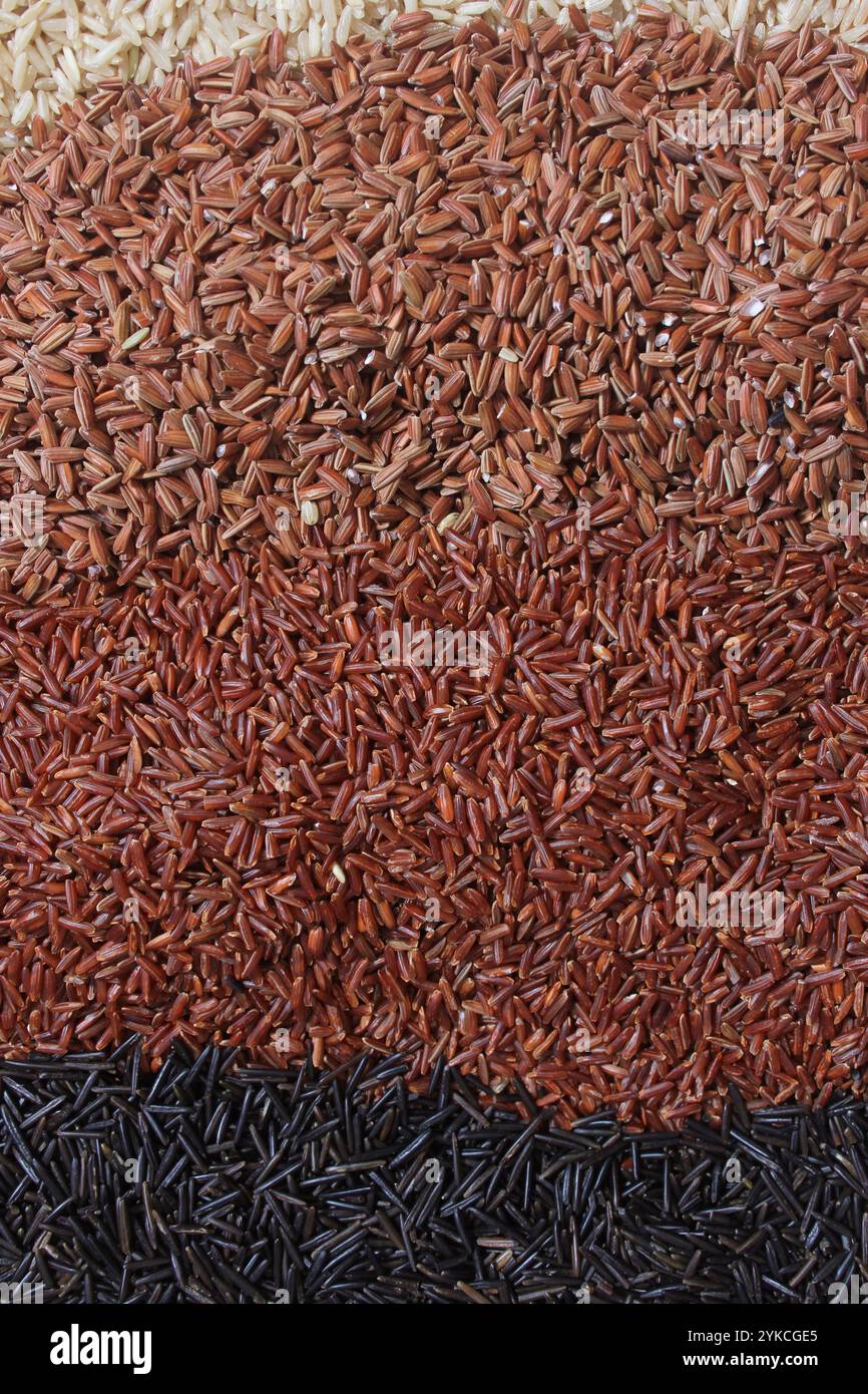 Different Rice Varieties in Rustic Kitchen. Wild Rice With Brown Rice ...