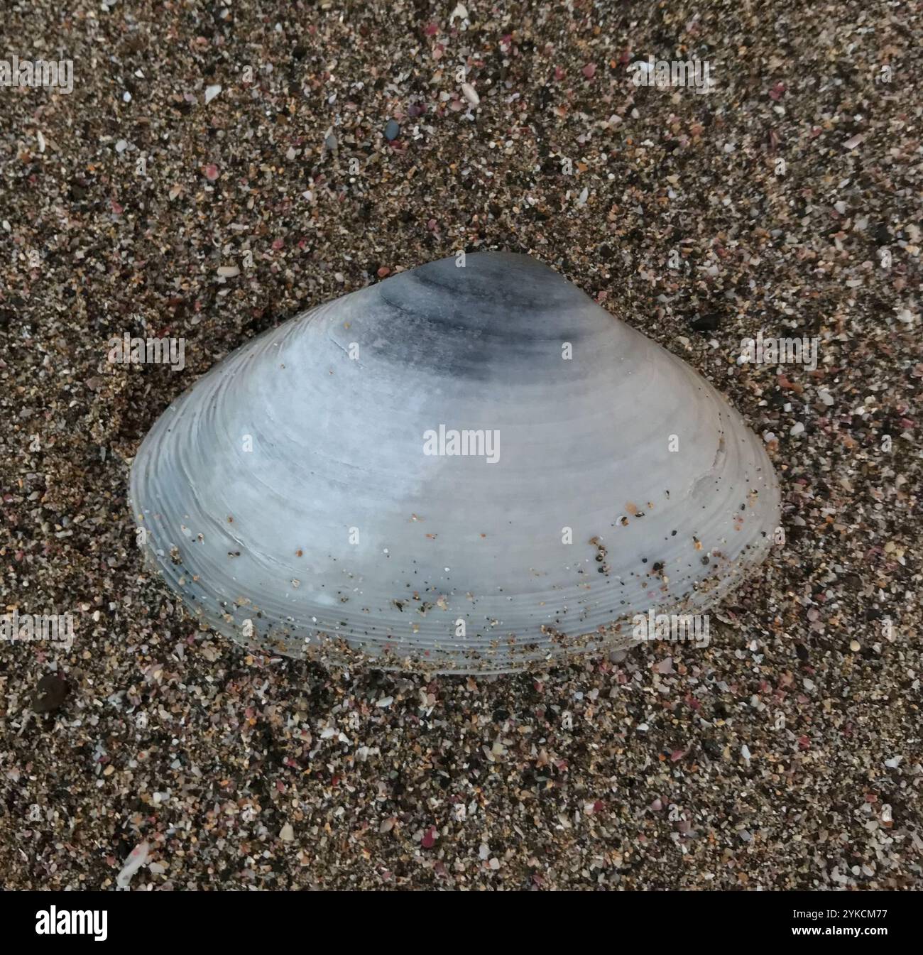 Long trough hi-res stock photography and images - Alamy