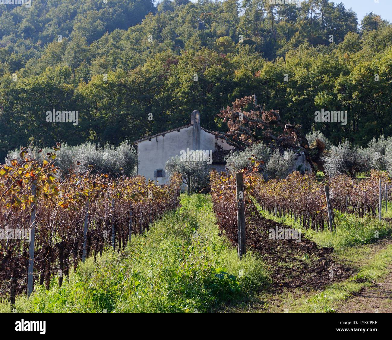 Church of Sant Mary of the Valley (Chiesa di Santa Maria della valle ...