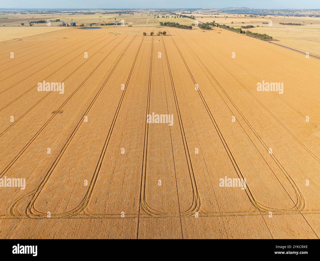 Aerial view of harvester patterns in a grain crop at Moolort in Central ...