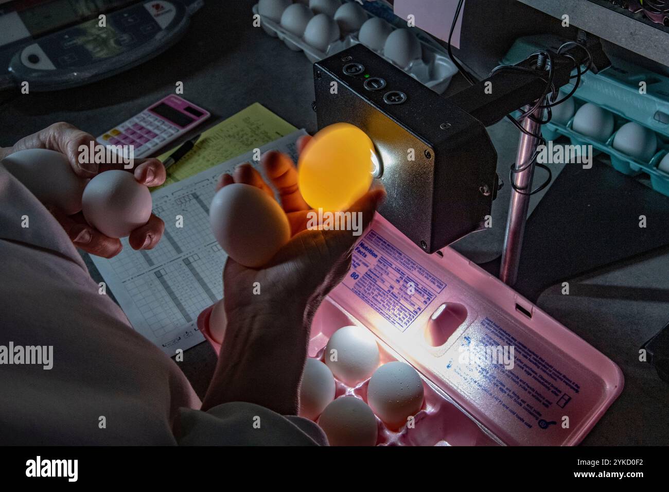 Egg size grading hi-res stock photography and images - Alamy