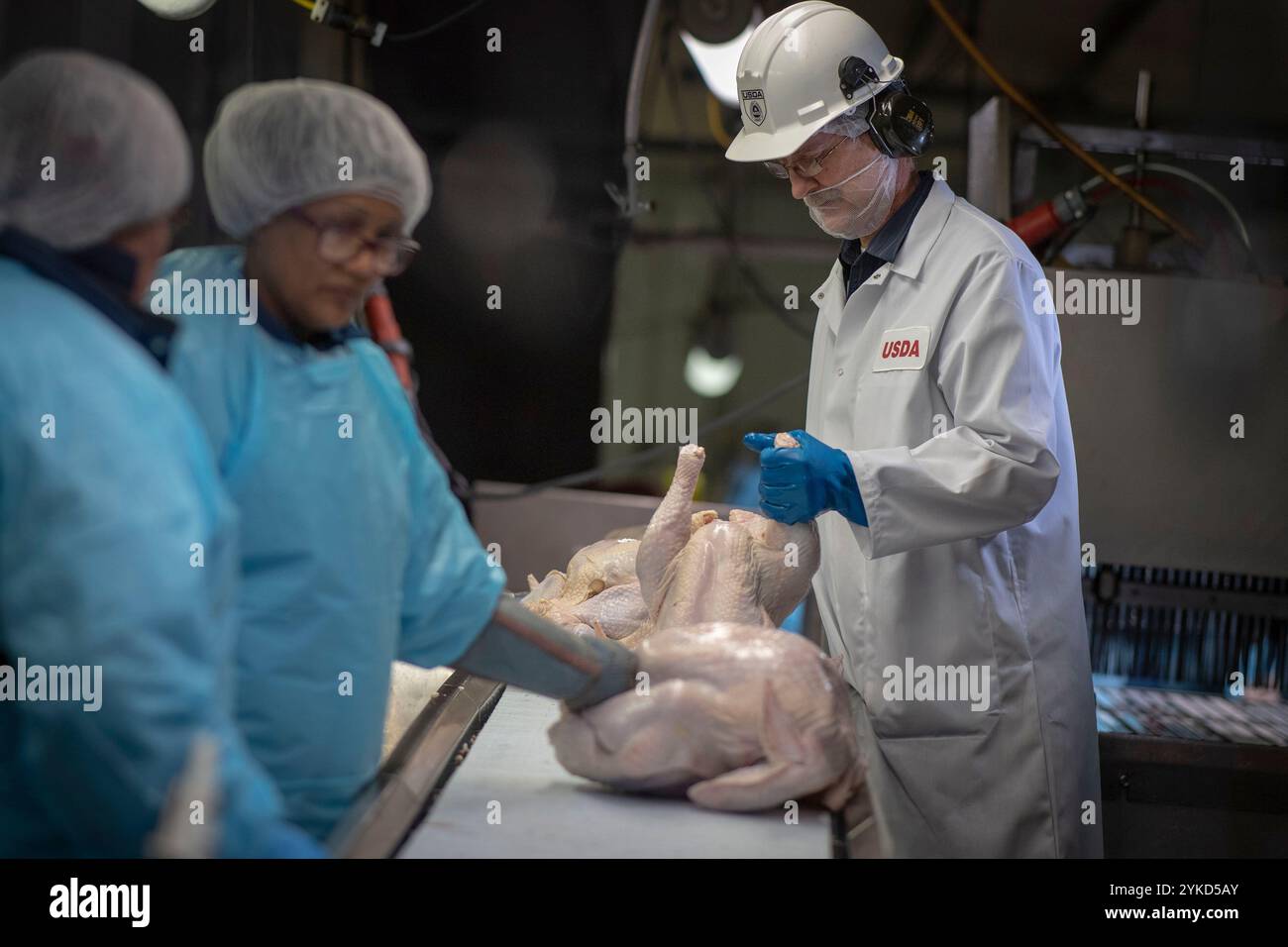 Turkey inspection and production at a U.S. poultry processor Stock ...