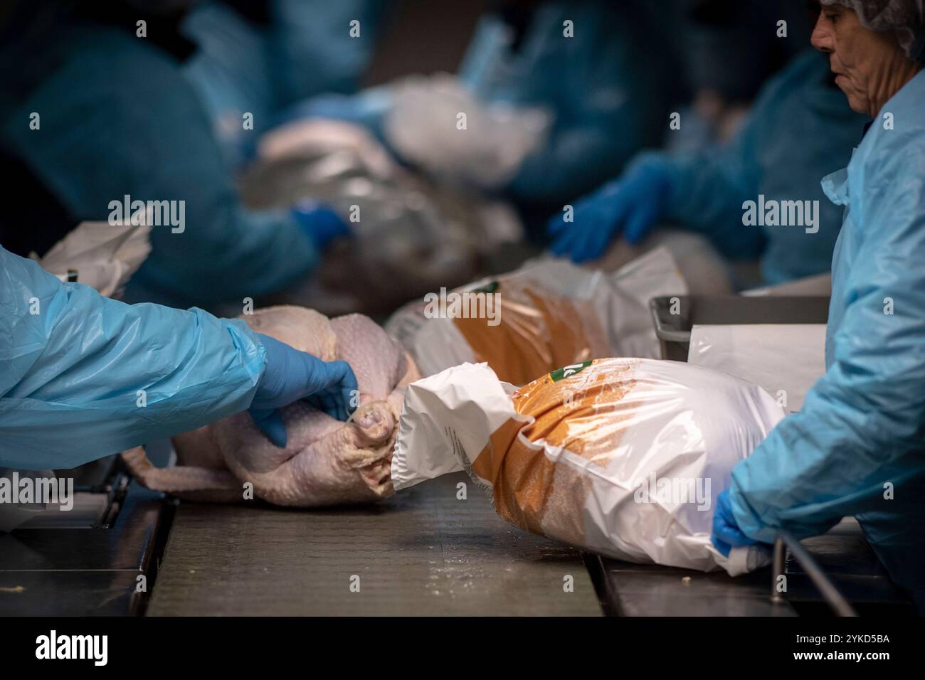 Poultry processing industry hi-res stock photography and images - Alamy