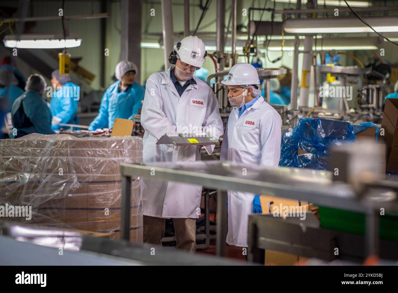 Turkey inspection and production at a U.S. poultry processor Stock ...