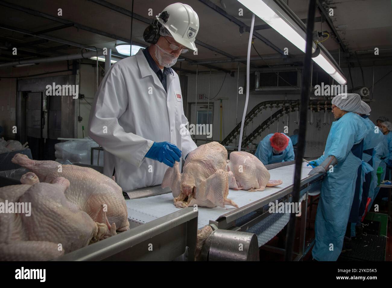 Poultry inspector hi-res stock photography and images - Alamy