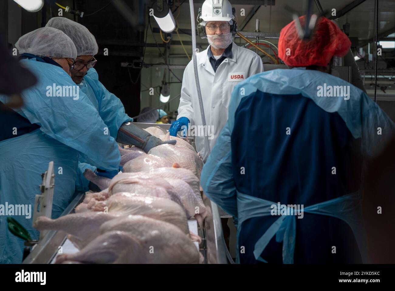 Turkey inspection and production at a U.S. poultry processor Stock ...