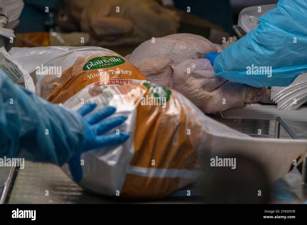 Turkey inspection and production at a U.S. poultry processor Stock ...
